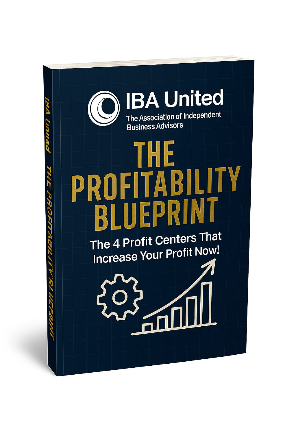 The Profitability Blueprint - IBA United